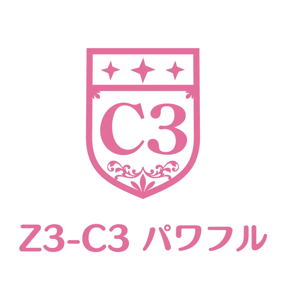 Z3-C3 | Zero Project Wiki | Fandom