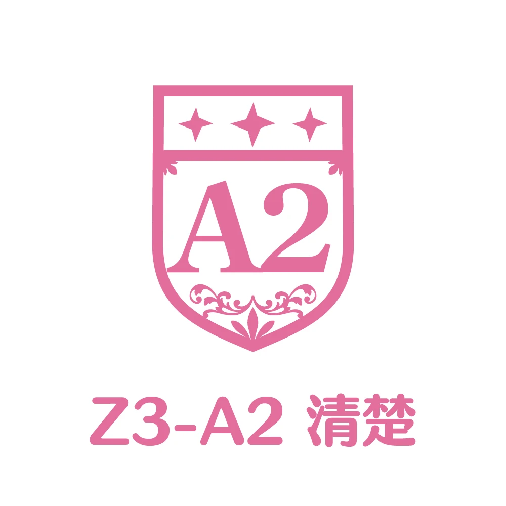 Z3-A2 | Zero Project Wiki | Fandom
