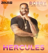 Bobby I Love You, Purrr | ZeusNetwork Wiki | Fandom