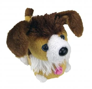 Booley | Zhupedia Wiki | Fandom