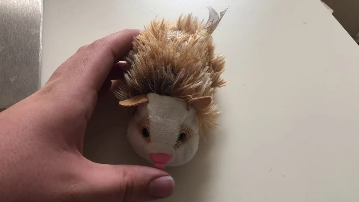 Rare ZuZu | Zhupedia Wiki | Fandom