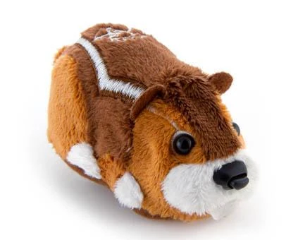 Nutters | Zhupedia Wiki | Fandom