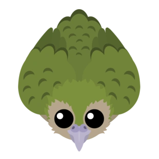 Kakapo | ZC Wiki | Fandom