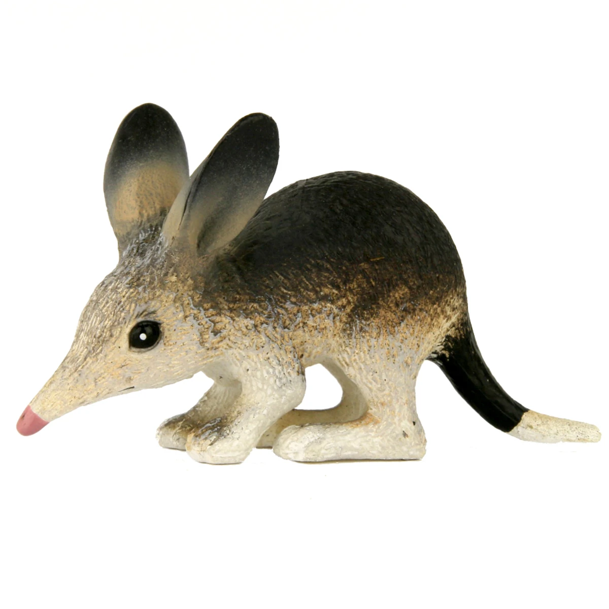 Bilbies | Zimber & Tigger Wiki | Fandom