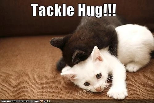 User blog:NyanGirToastNinjaShadow/Hai everyone! *epic tackle hug ...