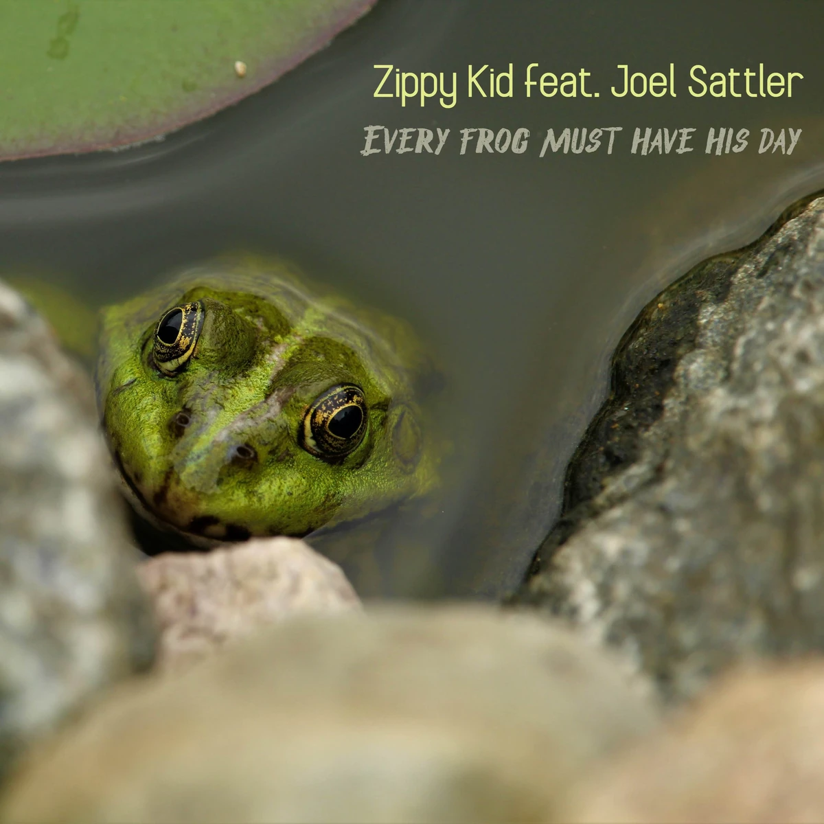 Every Frog Must Have His Day (feat. Joel Sattler) | ZippyKid Wiki | Fandom