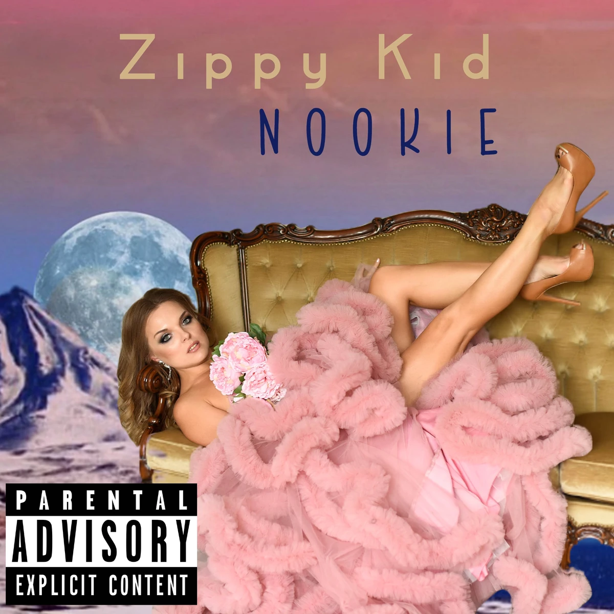 Nookie | ZippyKid Wiki | Fandom