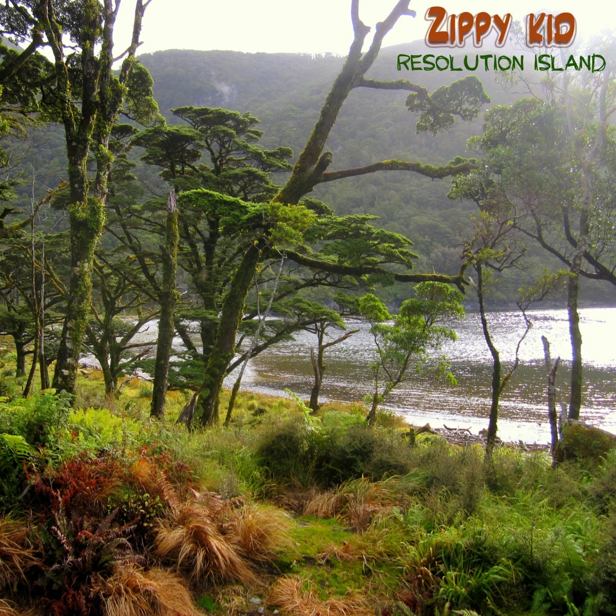 Resolution Island | ZippyKid Wiki | Fandom