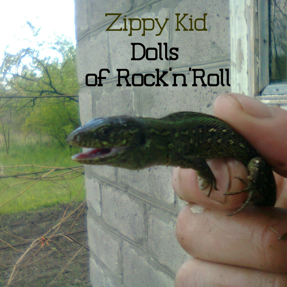 Dolls of Rock’n’Roll | ZippyKid Wiki | Fandom