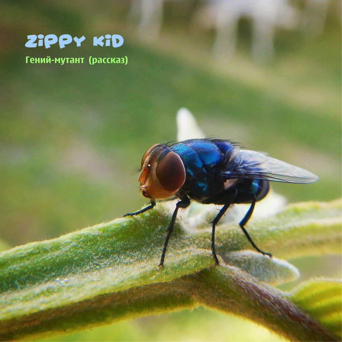 Гений-Мутант (Рассказ) | ZippyKid Wiki | Fandom