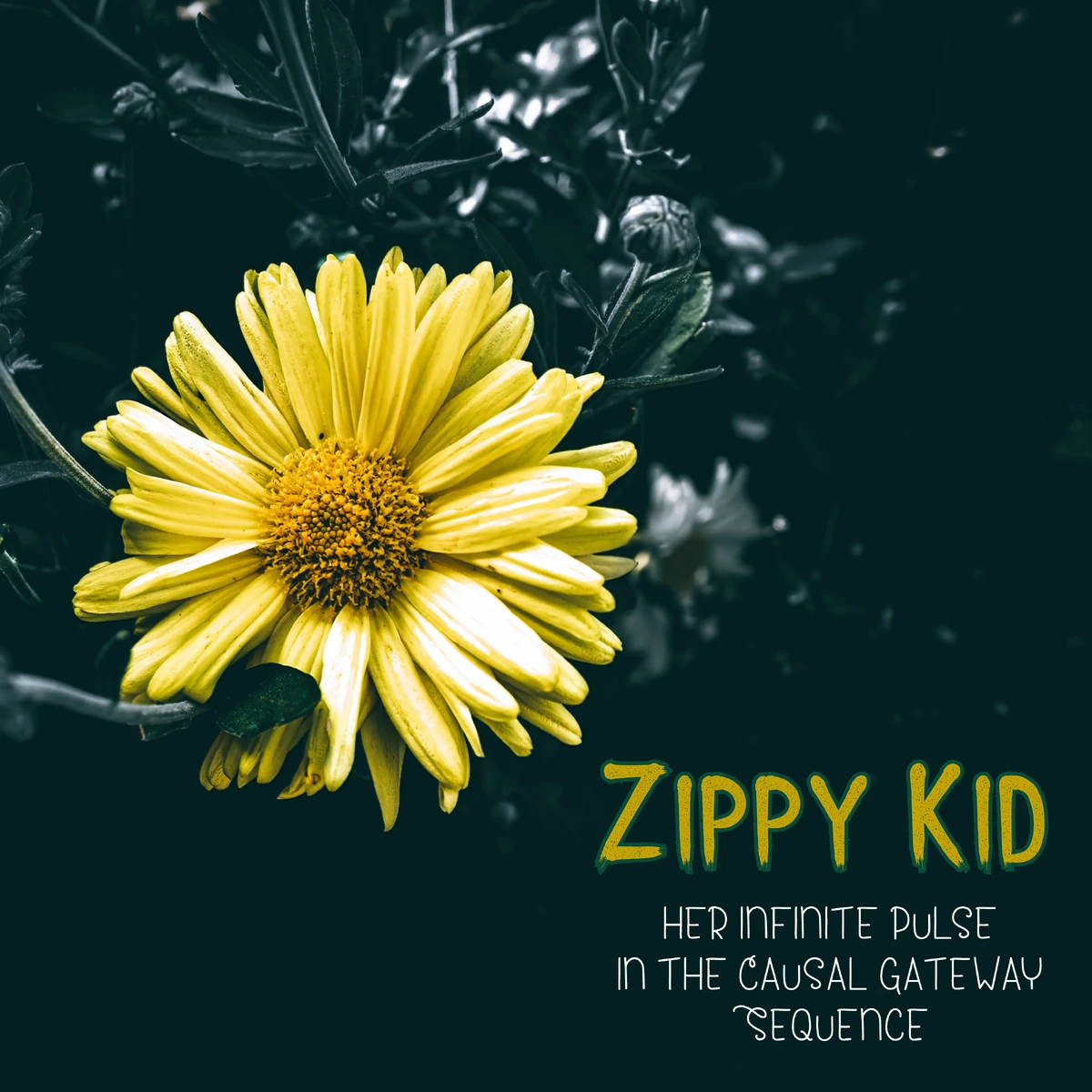 Her Infinite Pulse in the Causal Gateway Sequence | ZippyKid Wiki | Fandom