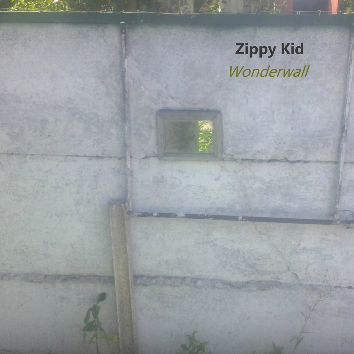 Wonderwall | ZippyKid Wiki | Fandom