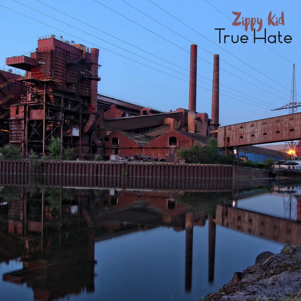 True Hate | ZippyKid Wiki | Fandom