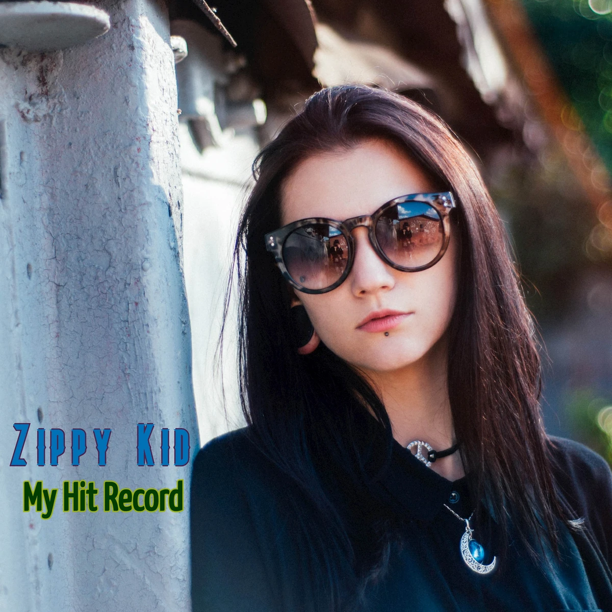 My Hit Record | ZippyKid Wiki | Fandom