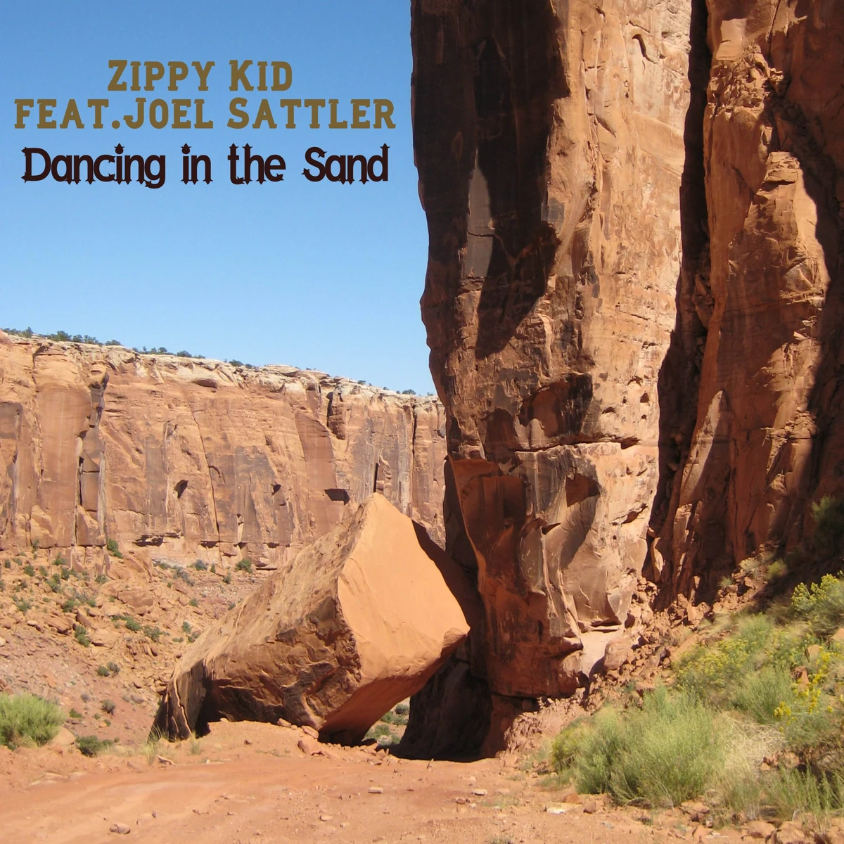 Dancing in the Sand (feat. Joel Sattler) | ZippyKid Wiki | Fandom
