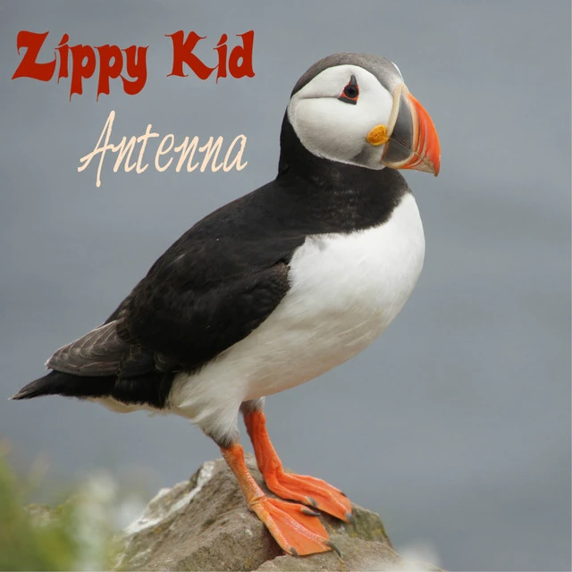 Antenna (album) | ZippyKid Wiki | Fandom