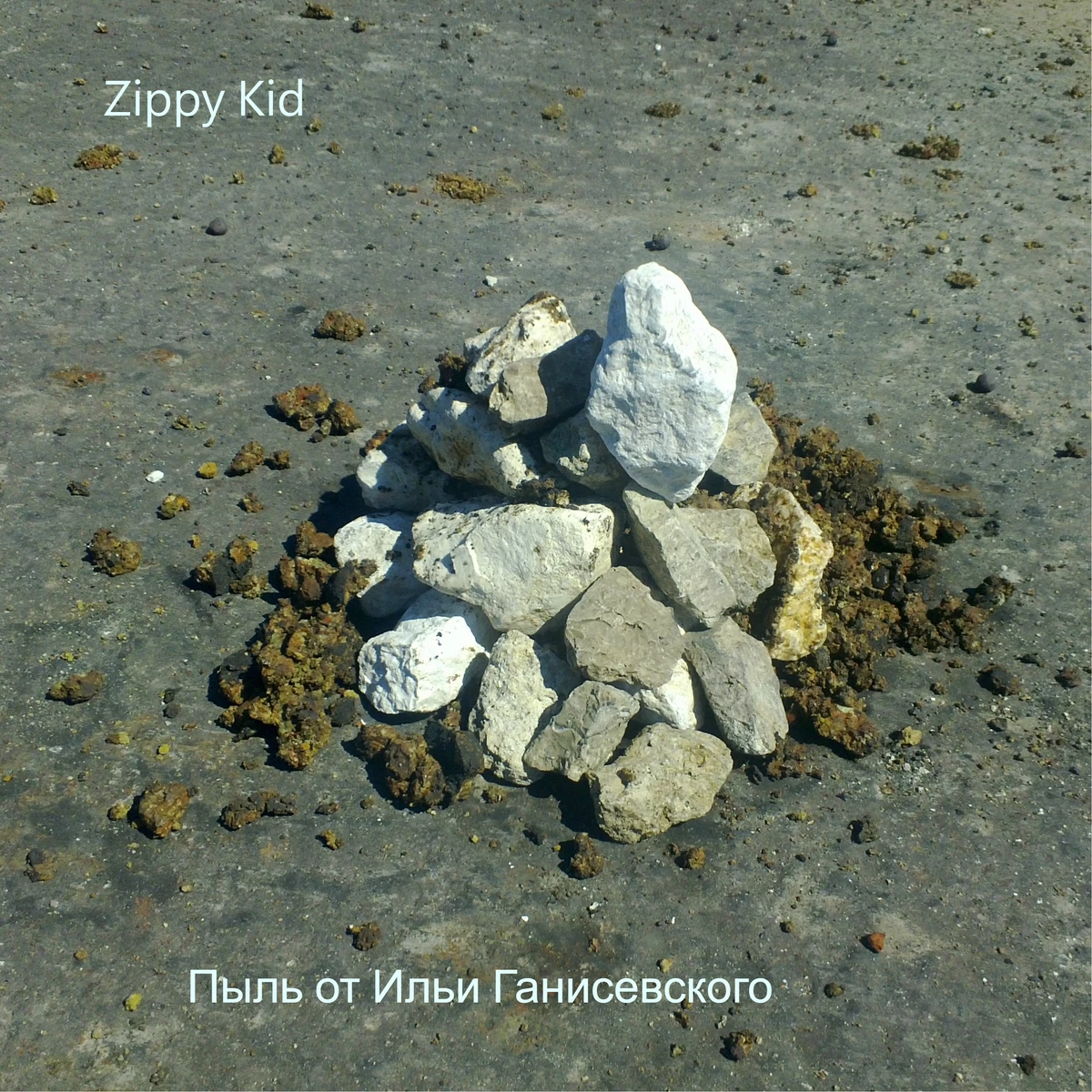 Пыль от Ильи Ганисевского | ZippyKid Wiki | Fandom