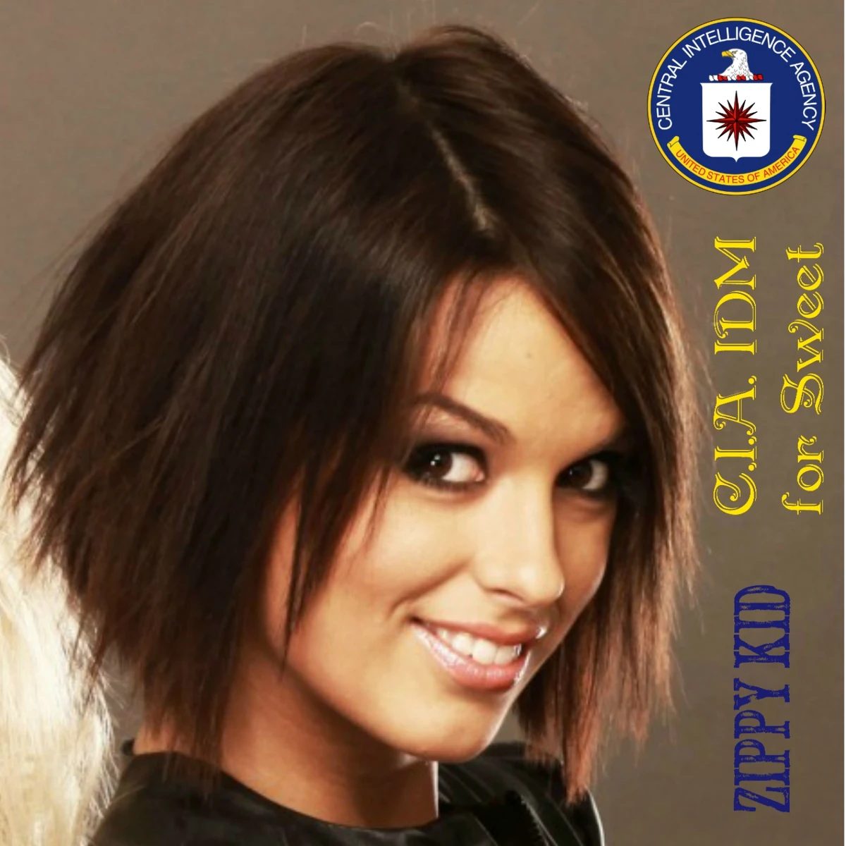 C.I.A. IDM for Sweet | ZippyKid Wiki | Fandom