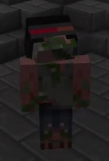 Zisteau | Zisteau Plays Minecraft Wiki | Fandom