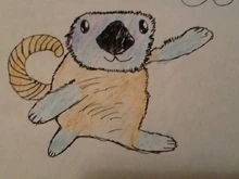 Otterish, The Sea Otter Pokèmon | ZivalonionFakemon Wiki | Fandom