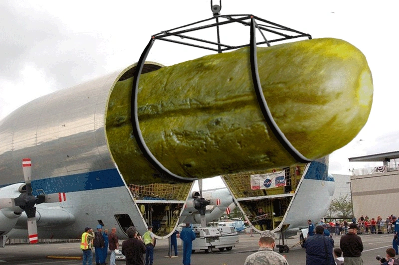 The World's Giant Pickle | ZLand Wiki | Fandom
