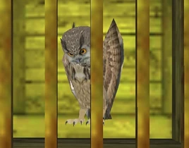 Owl | ZNK games Wiki | Fandom