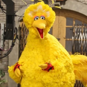 Big Bird | Zoboo and Friends Wiki | Fandom