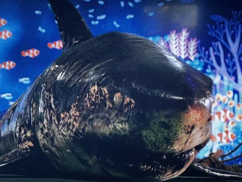 Zombified Shark | Zombie 100 Wiki | Fandom