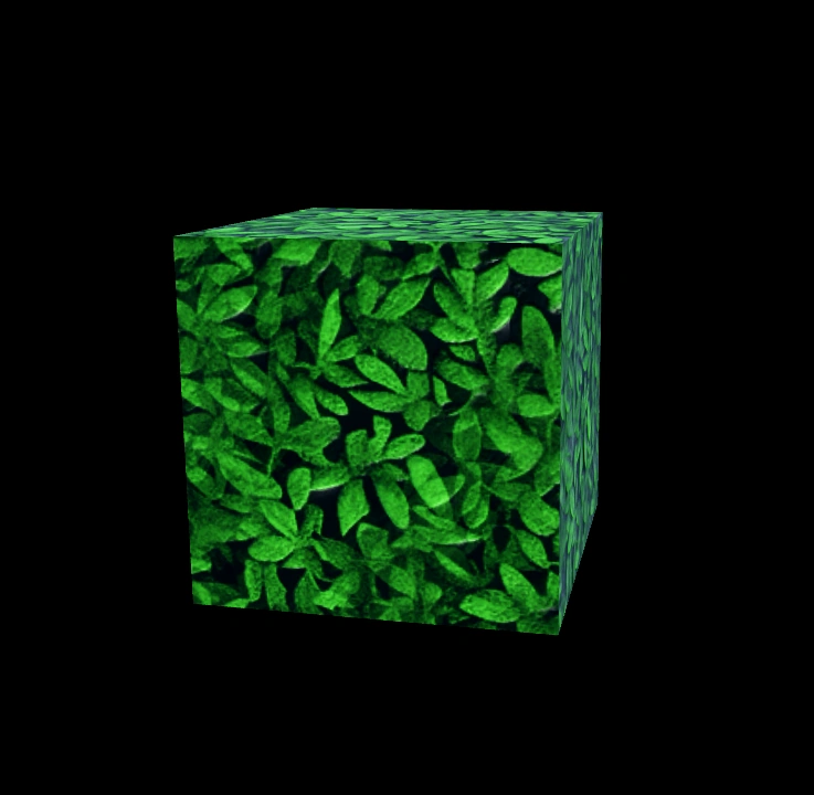 Leaves Block | Zombie Defense Wiki | Fandom