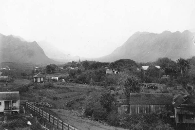 Hawaii, 1892 Zombie Outbreak | Zombiepedia | Fandom