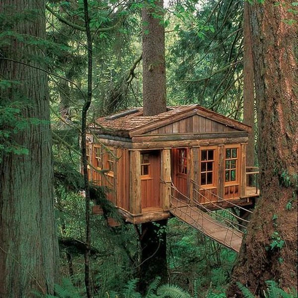 Tree House | Zombiepedia | Fandom