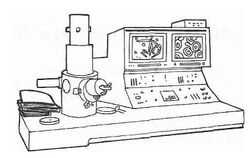Solanum | Zombiepedia | Fandom
