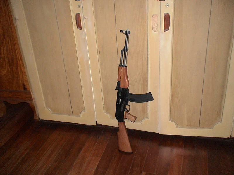 Semi-Automatic Rifles | Zombiepedia | Fandom