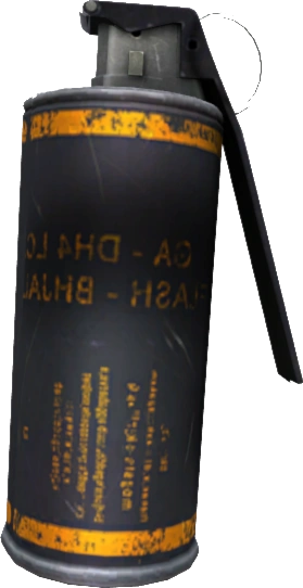 Flashbang | Zombie Escape Wiki | Fandom