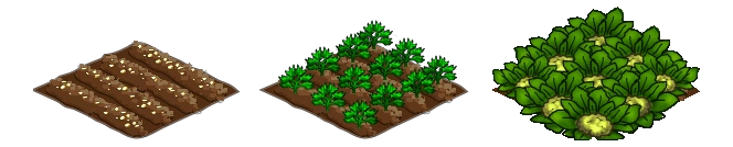Cauliflower | Zombie Farm Wiki | Fandom