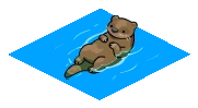 Water Otter | Zombie Farm Wiki | Fandom