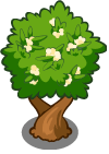 Olive Tree | Zombie Farm Wiki | Fandom