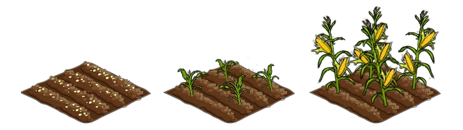 Corn | Zombie Farm Wiki | Fandom
