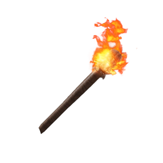 Handheld Torch | Zombies vs Humans Wiki | Fandom