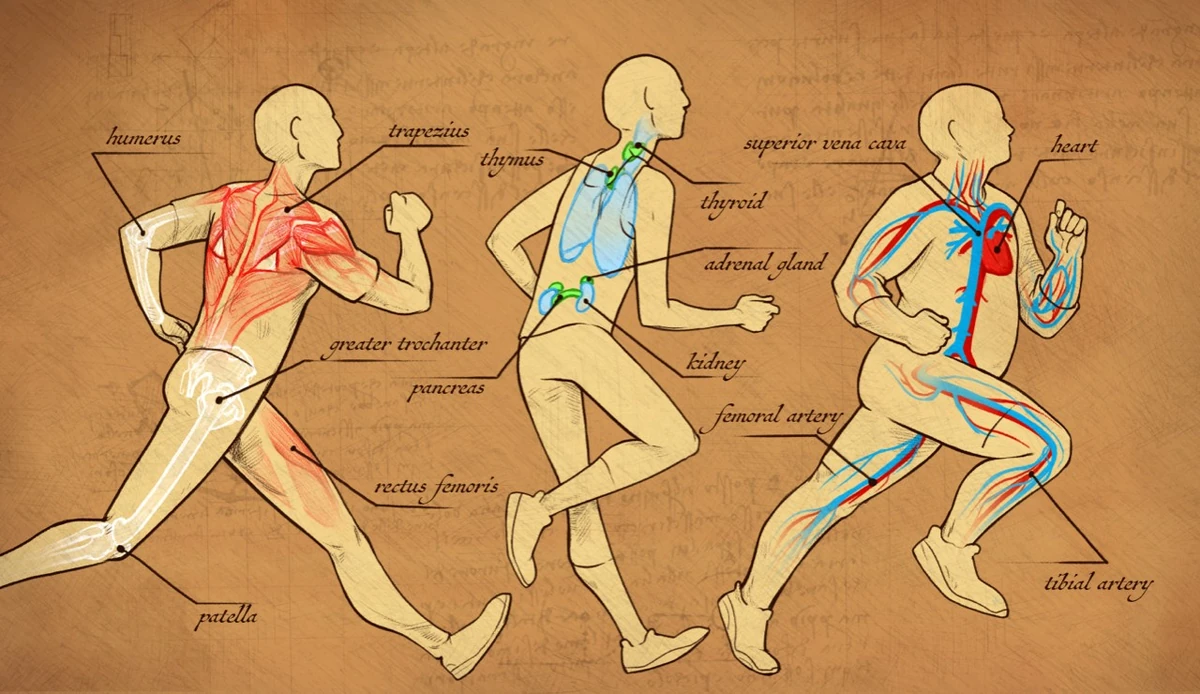 A Runner's Body (mission) | Zombies, Run! Wiki | Fandom