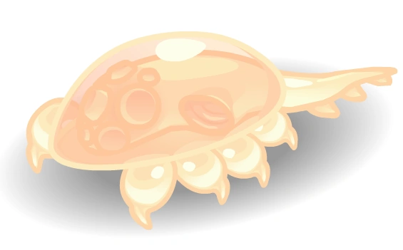 Shockroach | zOMG Wiki | Fandom