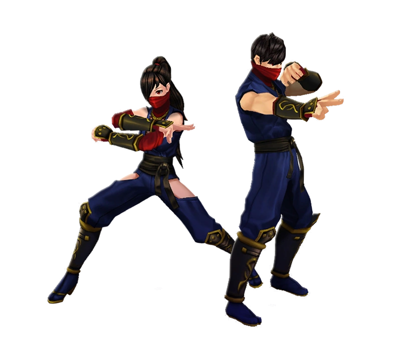 Ninja | Zone 4: Fight District вики | Fandom