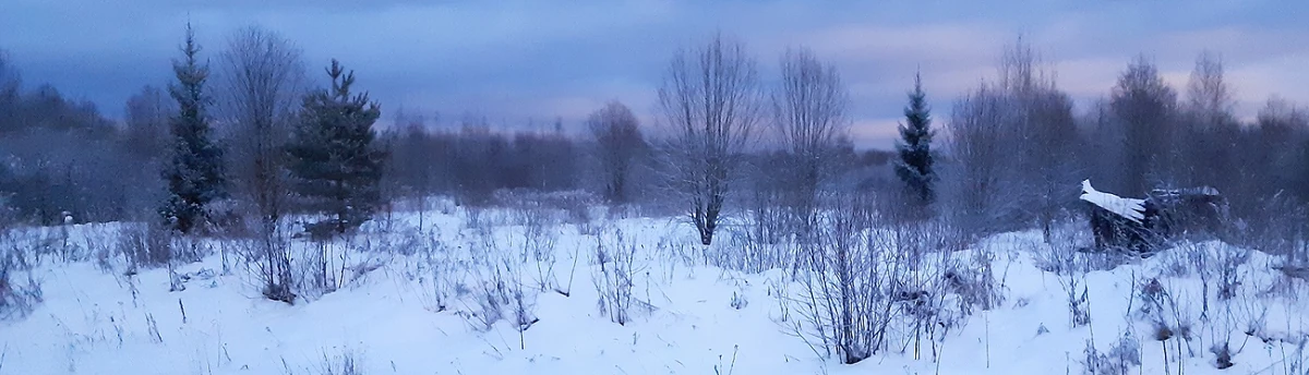 Без названия (Rezak)/III | Истории Зоны | Fandom