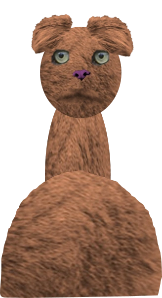 Edukayfun Cat (Felis Catus Edukayfuni) | ZooZania | Fandom