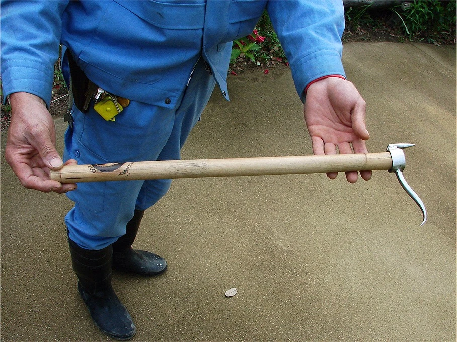 Elephant Goad | ZooZania | Fandom