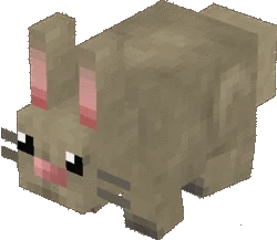 Bunny | Zoo crafting modpack Wikia | Fandom