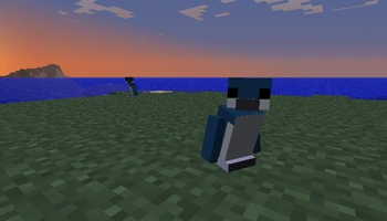 Blue penguin | Zoo crafting modpack Wikia | Fandom
