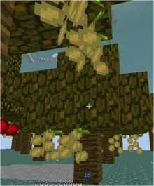 Pecan | Zoo crafting modpack Wikia | Fandom