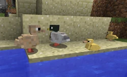 Duck | Zoo crafting modpack Wikia | Fandom