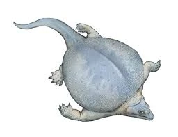 Sinosaurosphargis | Zoo evolution in Anthöny Pain video Wiki | Fandom